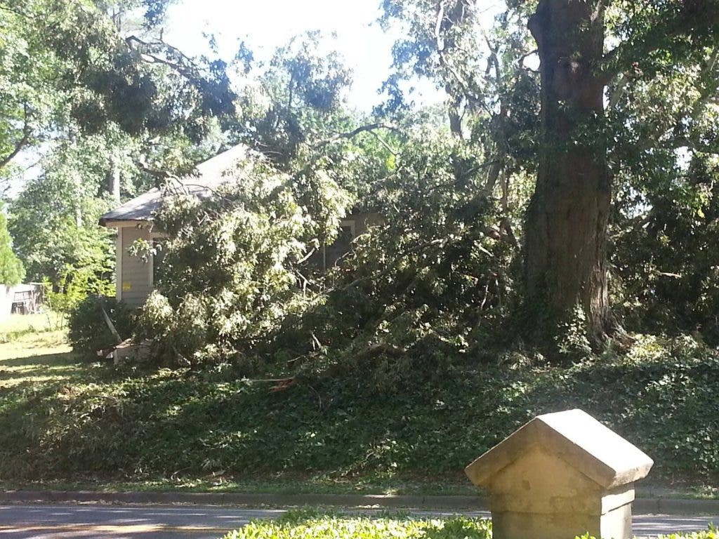 A Damaged Roswell- Storm Aftermath | Roswell, GA Patch