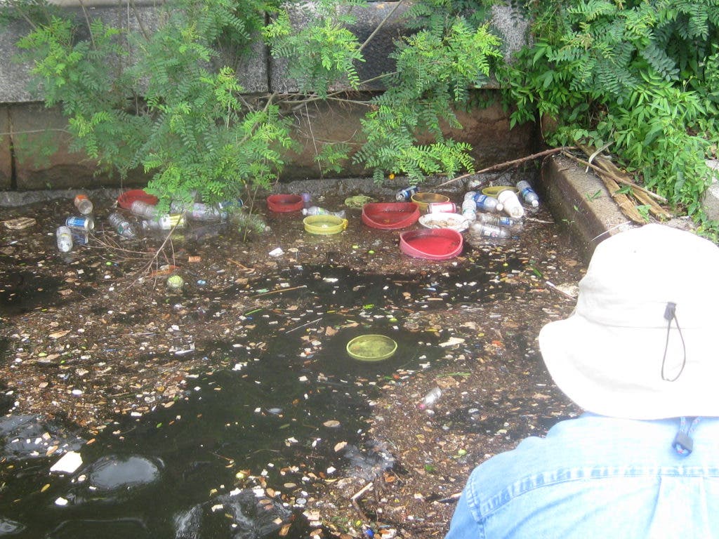 Charles River Clean Up Boat Summer Update | Back Bay, MA Patch