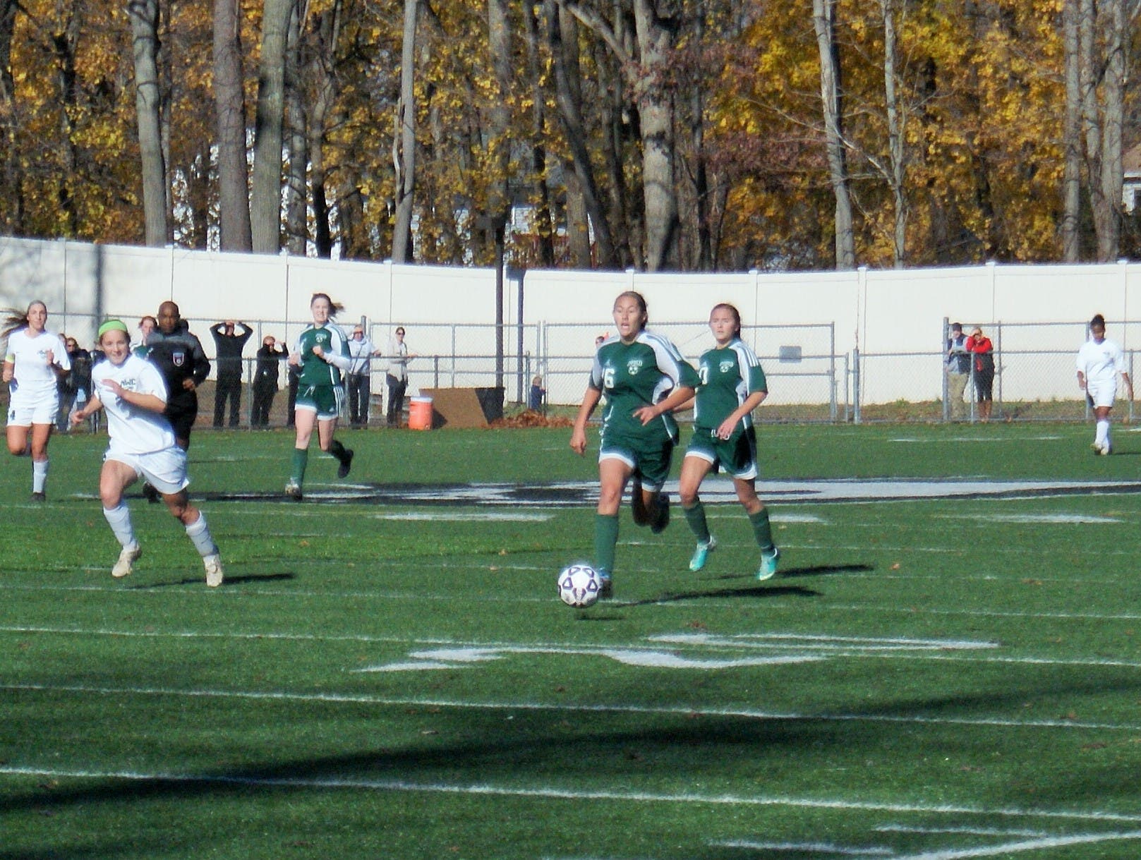 PHOTOS: Enfield Girls Soccer in Class M Finals | Enfield, CT Patch