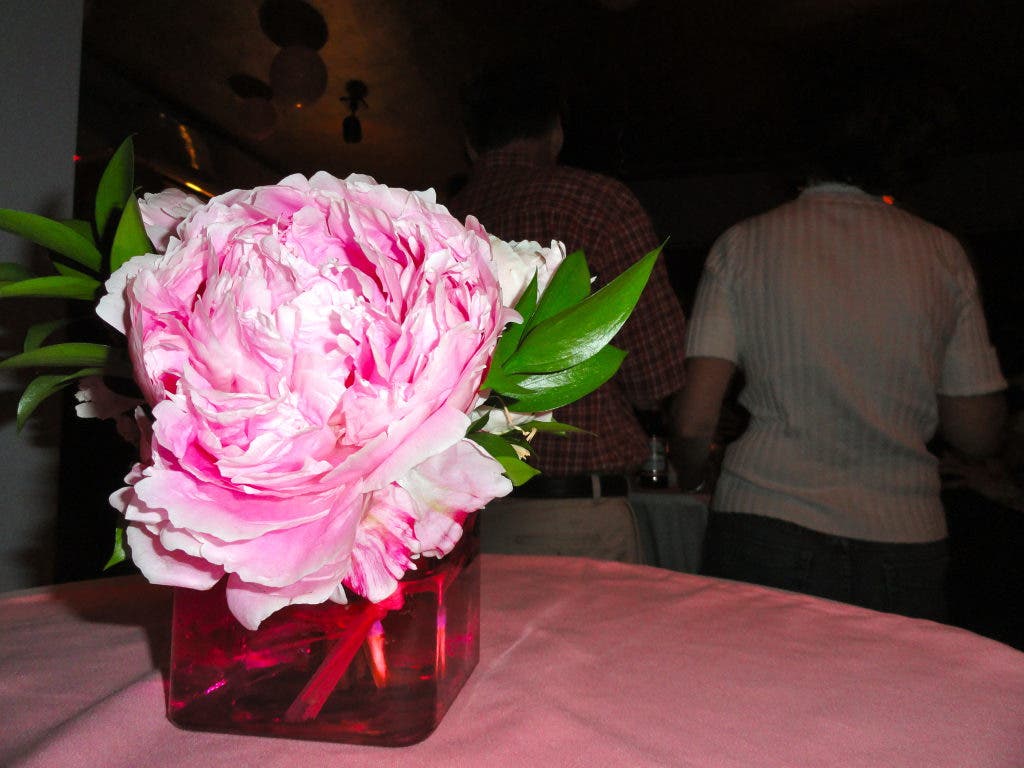 Christine Meredith Miele Foundation Hosts Party to Raise Money for ...