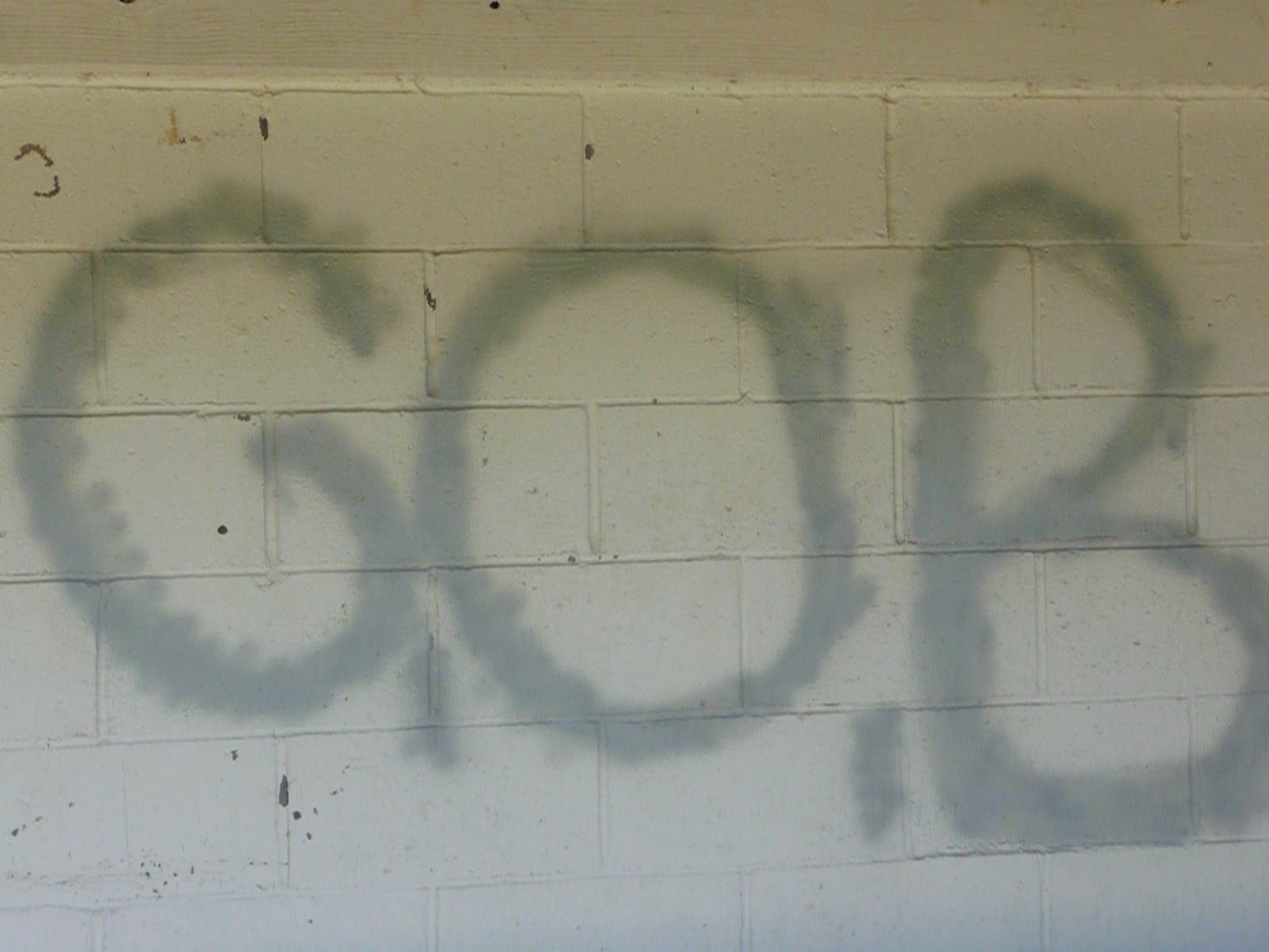 Graffiti Found on Edison Dugouts | Westfield, NJ Patch
