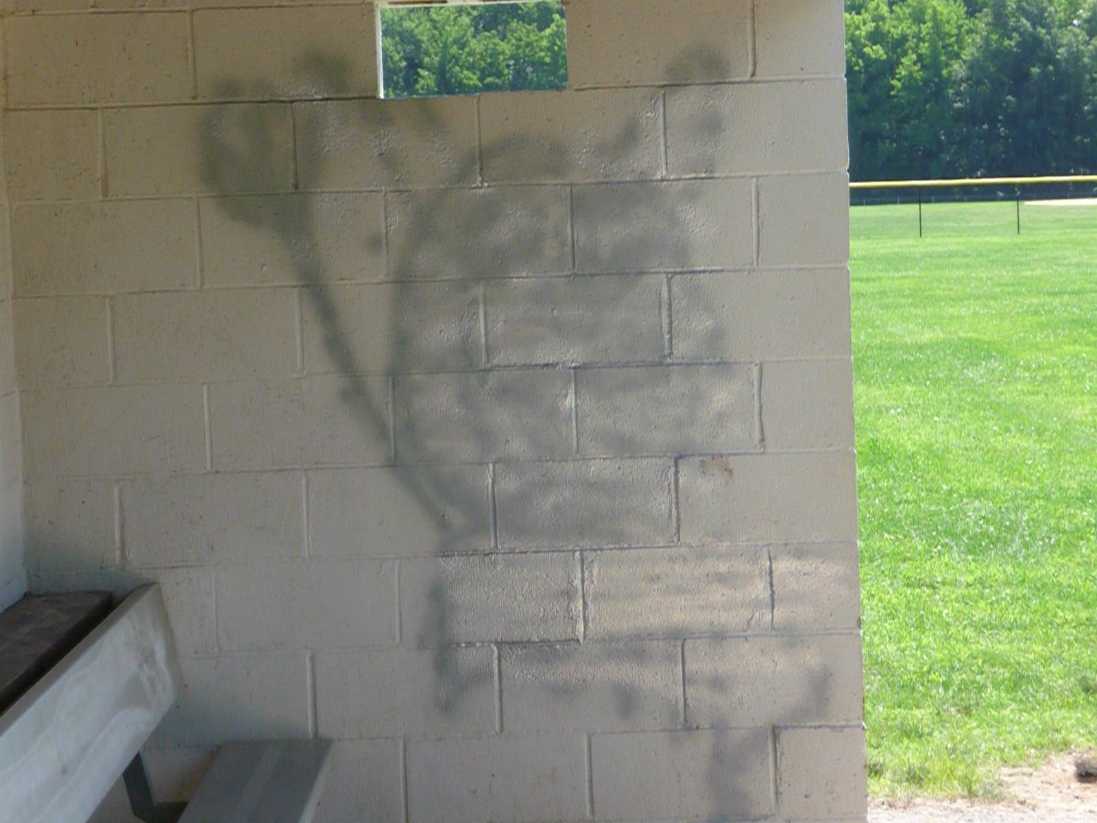 Graffiti Found on Edison Dugouts | Westfield, NJ Patch