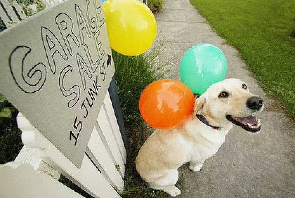 Rummage Sale to Benefit Animal Shelter Saturday | Arnold, MO Patch