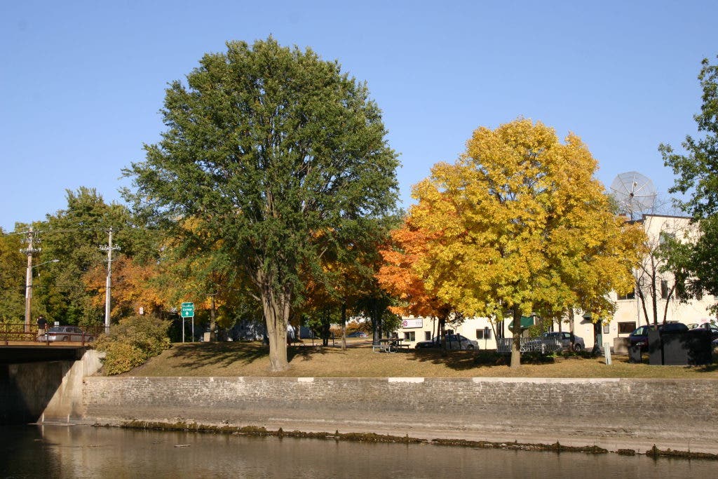 Chasing Autumn: Northfield Tree Colors Nearing Peak | Northfield, MN Patch
