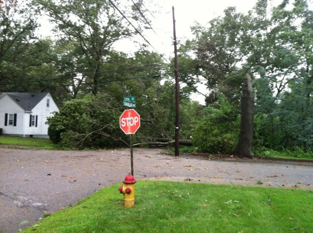 Fallen Tree Takes Out Telephone Poles | Attleboro, MA Patch