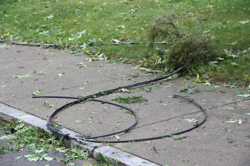 Fallen Tree Takes Out Telephone Poles | Attleboro, MA Patch