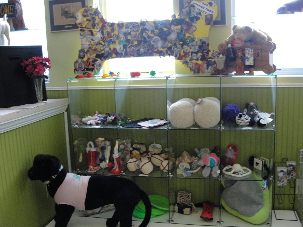 Hounds Town USA is a Doggy Dream Come True | Sachem, NY Patch