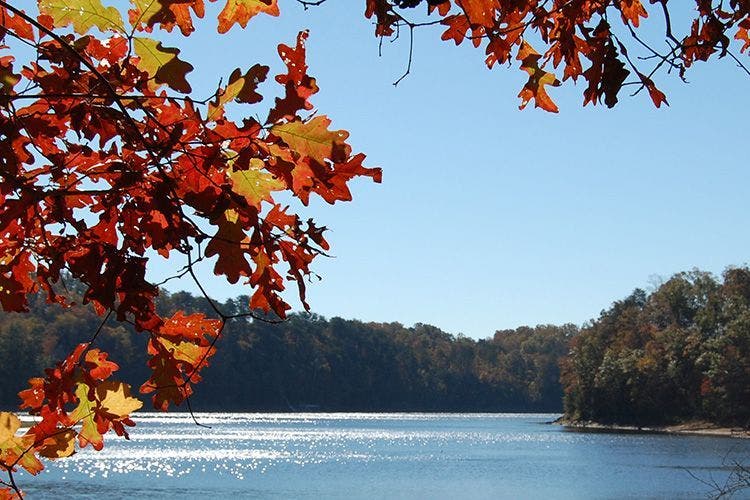 Free Admission to Georgia State Parks on "Your State Parks Day ...