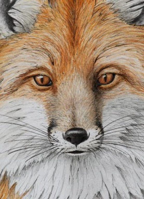 Brighton-Area Artist Spotlight: Marie Rust | Brighton, MI Patch