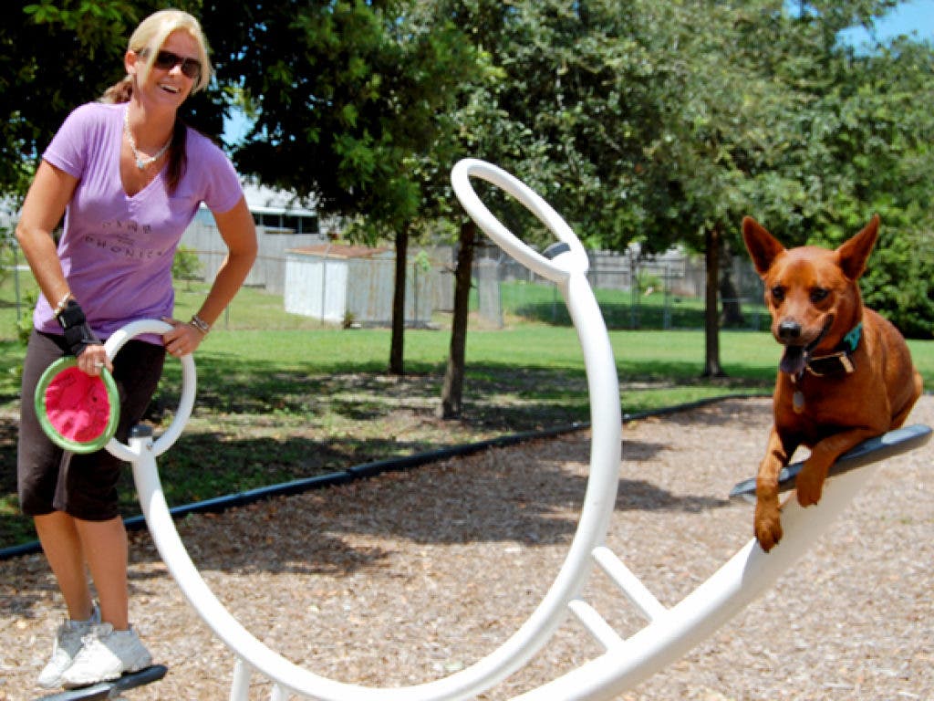 Dawg Phonics Trainer Helps Humans and Canines Speak the Same Language ...