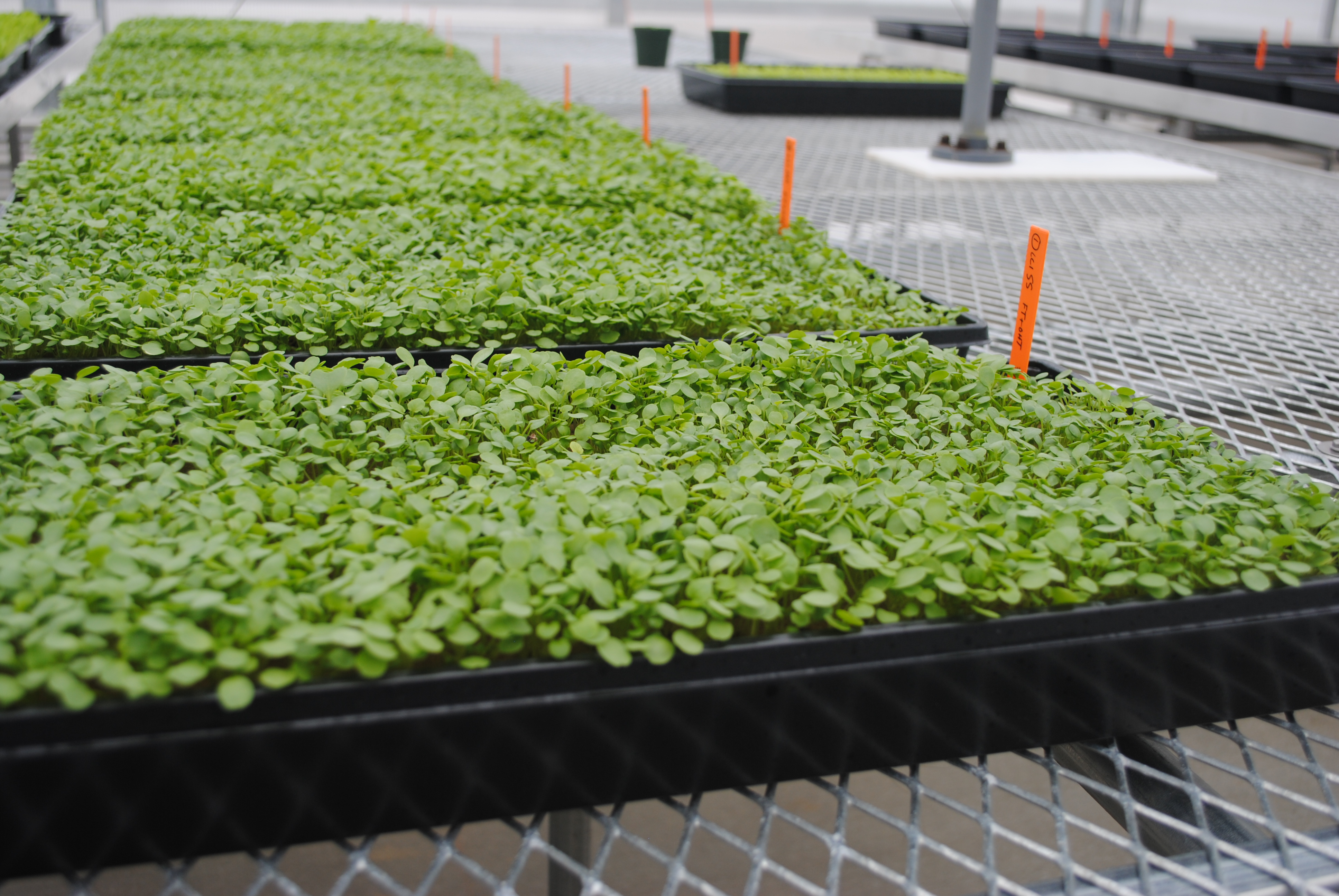 Smithers-Oasis Enjoys Expansion at Marvin Street Facility | Kent, OH Patch