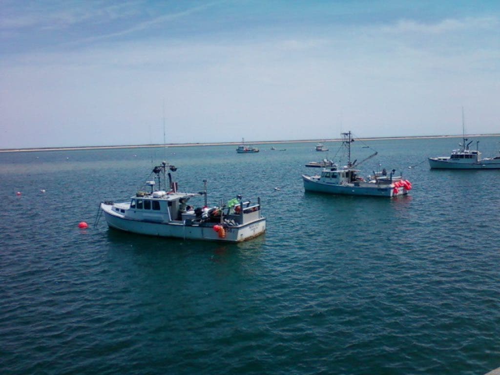 Canton Boy Scout Troop 177 visits Cape Cod | Canton, CT Patch