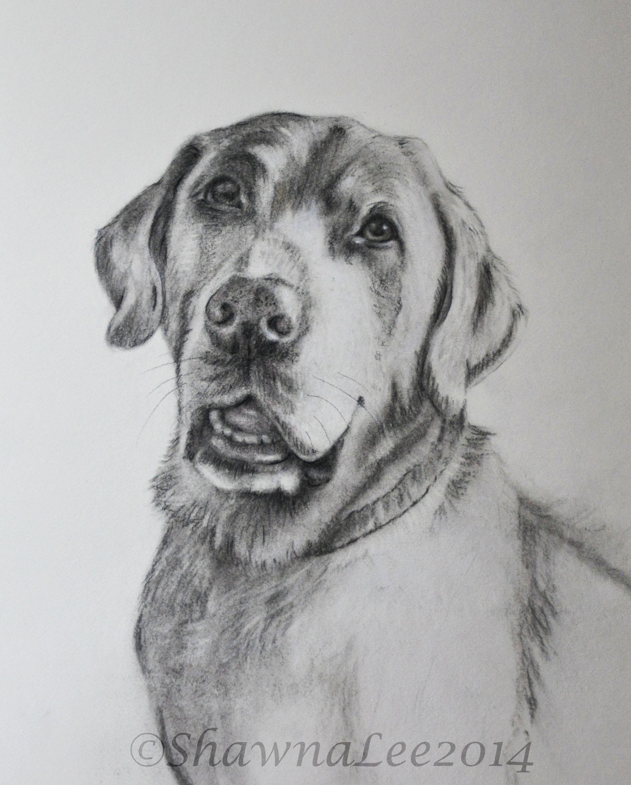 Pet Portrait Artist, ShawnaLee, helps DAWS one portrait at a time ...