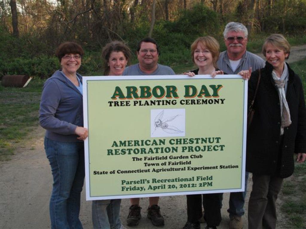 Chestnuts Return! 100 Chestnut Trees to be Planted Friday for Earth Day ...