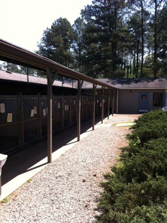 Spotlight on the Athens Dog Shelter | Oconee, GA Patch