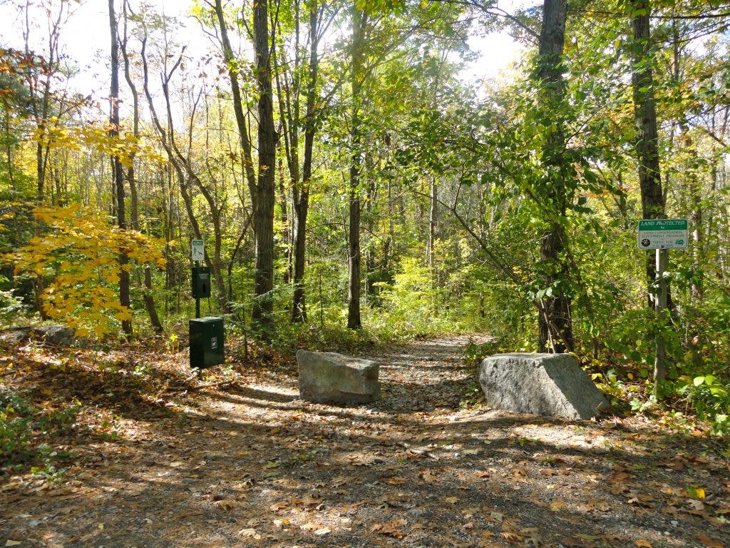 IMAGE GALLERY: Oaklands Town Forest | Exeter, NH Patch