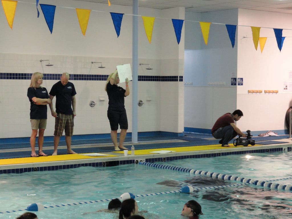Sutton Swim School Goes For A Guiness World Record | Cupertino, CA Patch