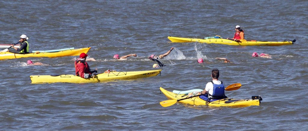 Hudson River Swim For Life [PHOTOS] | Rivertowns, NY Patch