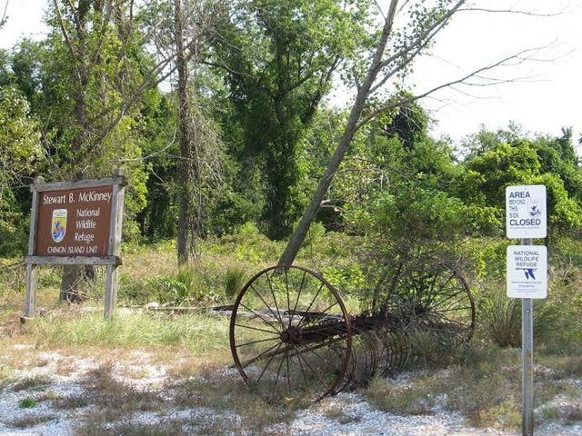 Westport Historical Society Kayak Tour to Chimon Island | Norwalk, CT Patch