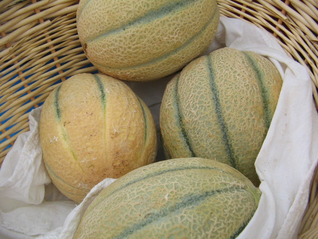 Rich Lady Peaches and Tuscan Cantaloupes | Beverly Hills, CA Patch