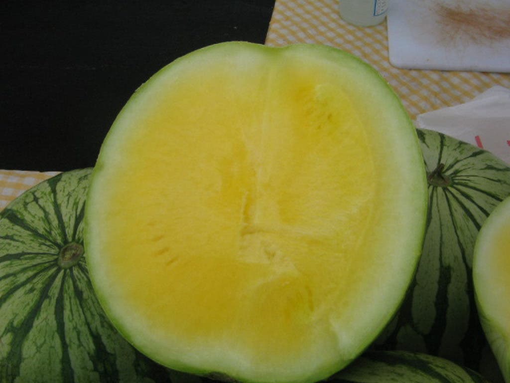 Summer Melons Are the Stars of the Hollywood Farmers' Market ...
