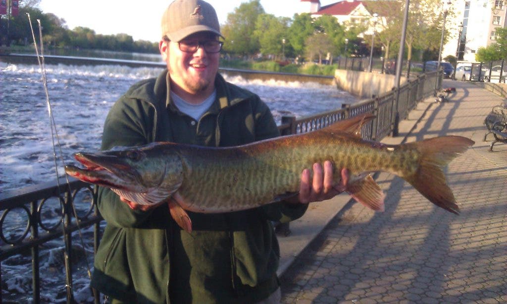 That's a Pretty Cool Fish... | Waukesha, WI Patch