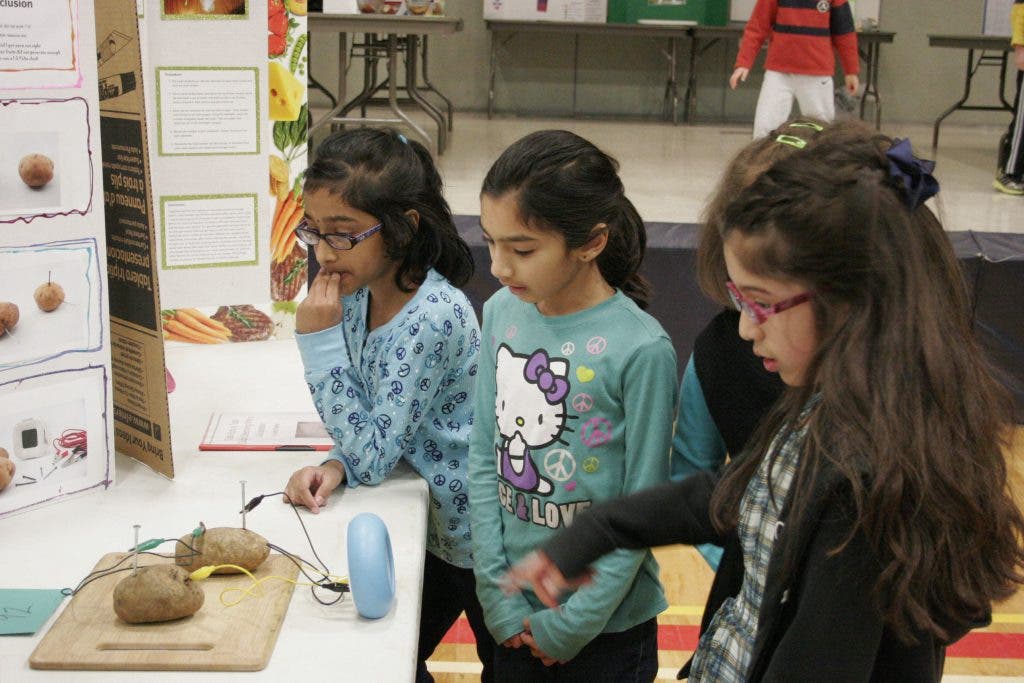PHOTOS: Brookfield Elementary Students Showcase Science Projects ...