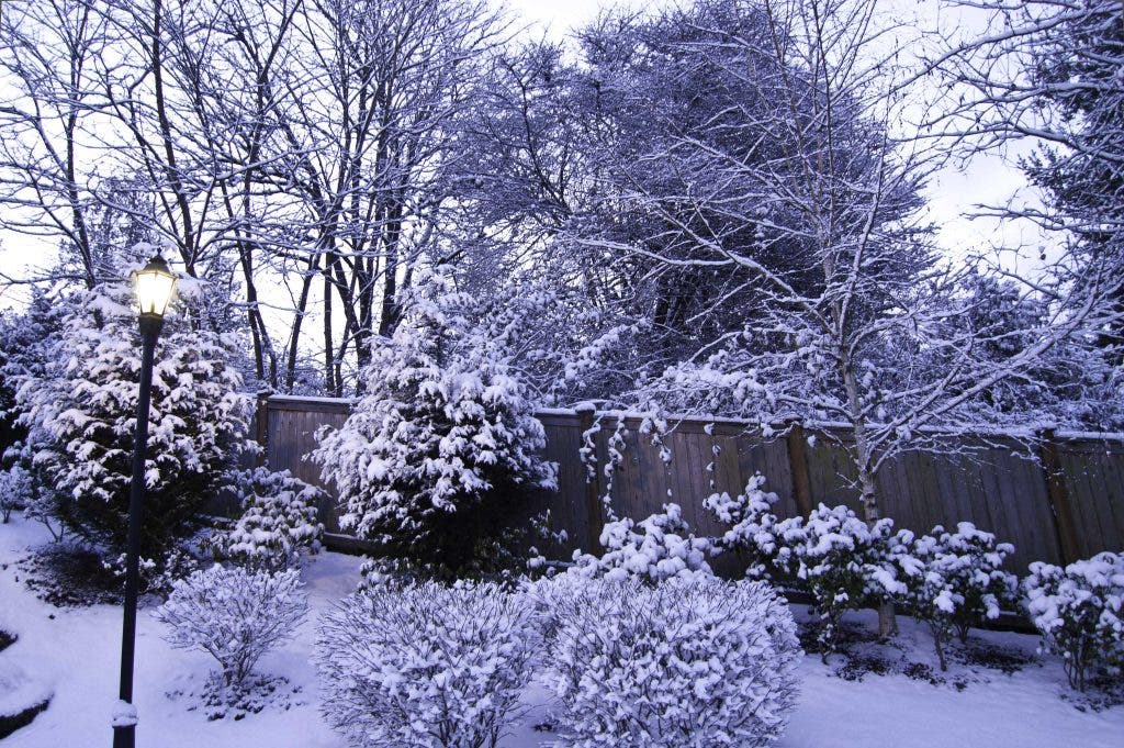 Meteorologist: Snow Could Stick Around For Day Or Two | Redmond, WA Patch