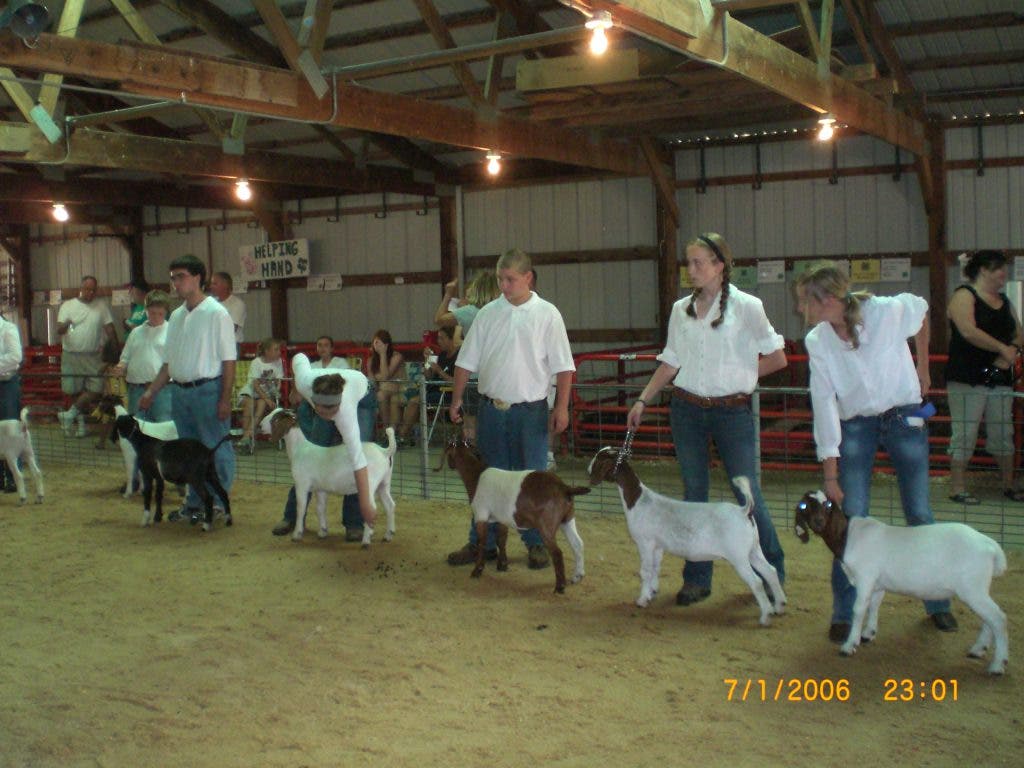 Scott County Fair | Shakopee, MN Patch