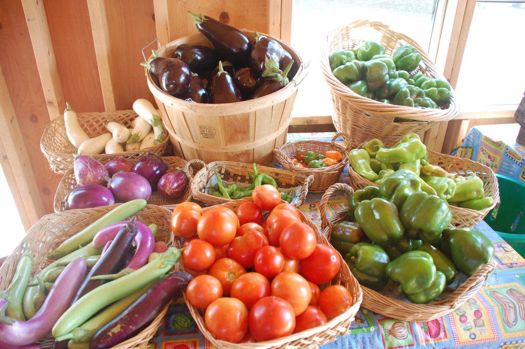 Connecticut Farms Enjoying 'Incredibly Good Year' | Westport, CT Patch