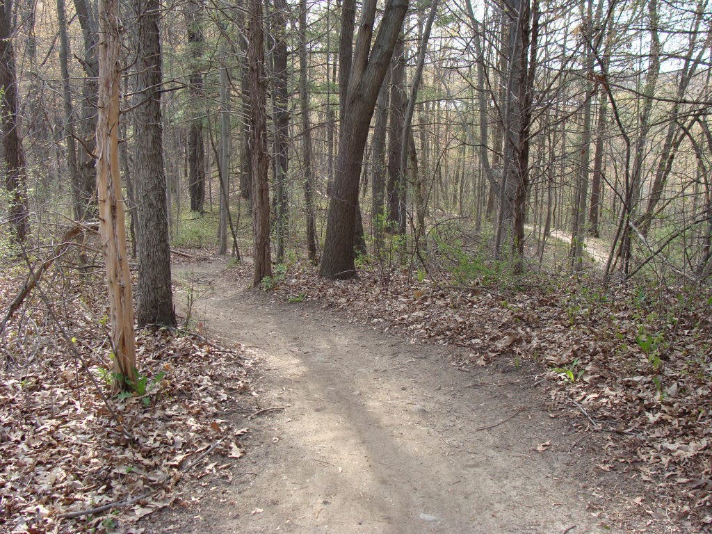Kick Off Mountain Bike Season With Murray Lake Trail | Brighton, MI Patch