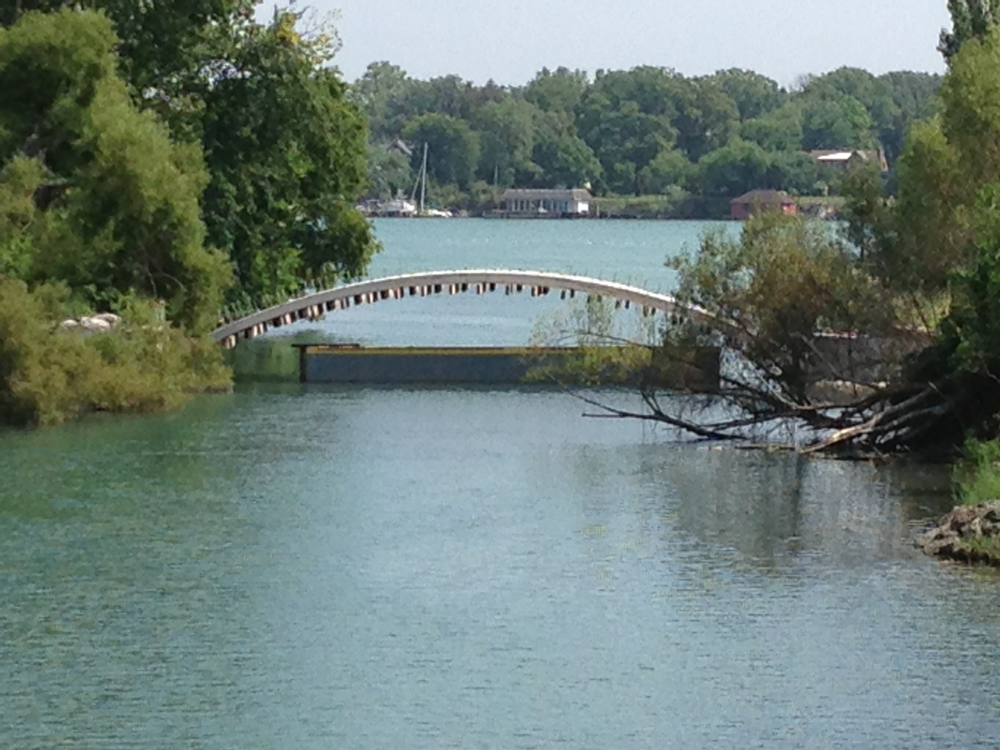 New Bridges at Elizabeth Park Bear Familiar Features | Trenton Grosse ...