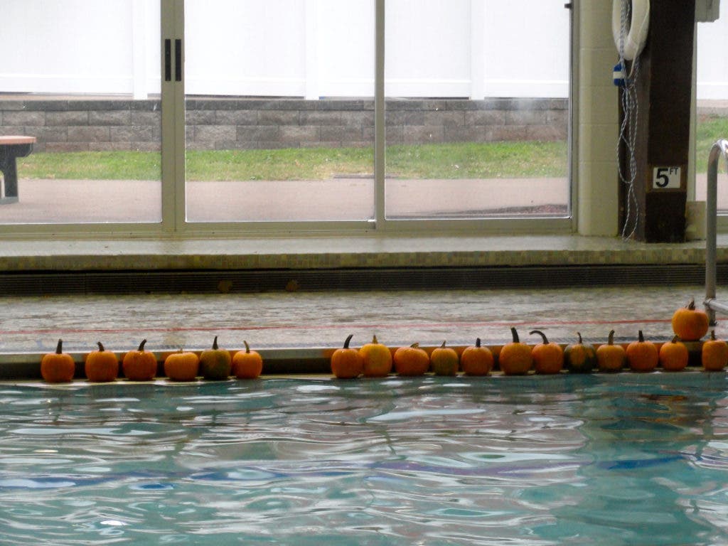 Photos: Sewickley YMCA Hosts the Great Pumpkin Swim | Sewickley, PA Patch