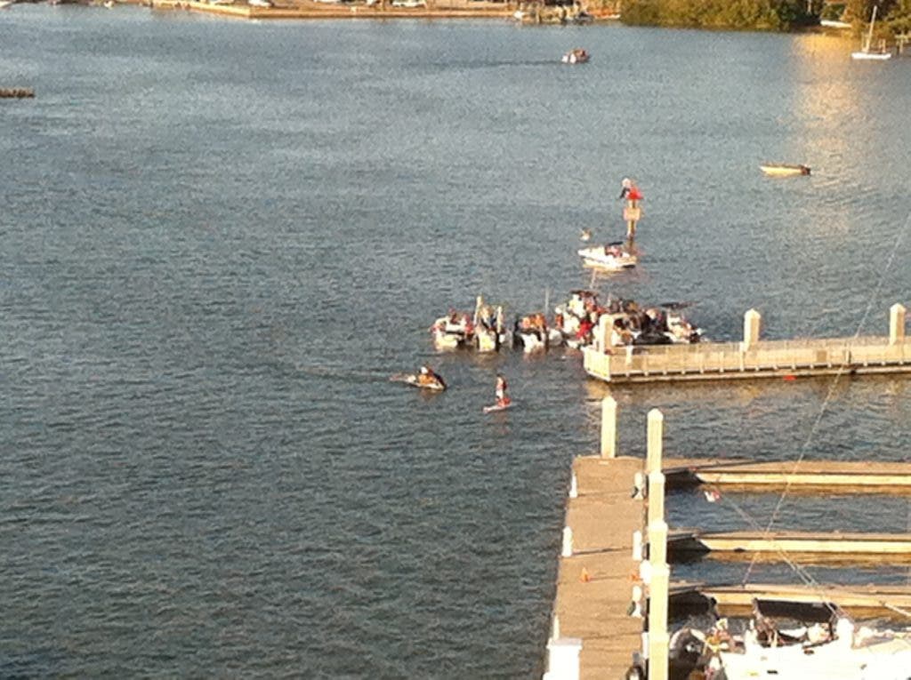 Thousands of Fans Come to Coachman Park for WiLD Splash | Clearwater ...