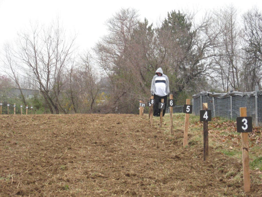 Growing A Community: Emory Grove Garden Will Benefit Many | Montgomery ...