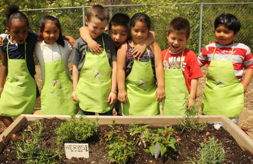 Stripling Earns Top Honors as Green & Healthy School | Norcross, GA Patch