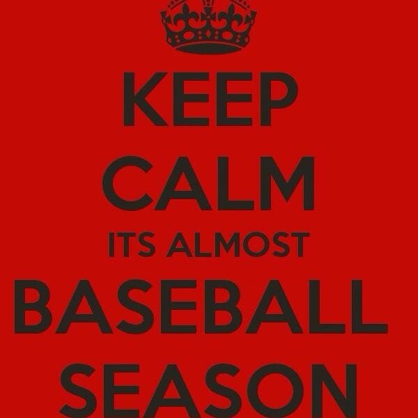 Two Seasons: Winter and Baseball | Stoneham, MA Patch