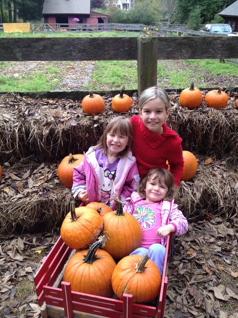 Surprising Strawberry Hollow Farm Pictures