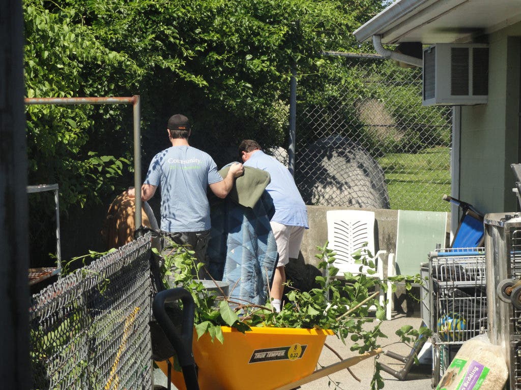 Deloitte Employees Volunteer at Stamford Animal Shelter | Stamford, CT ...