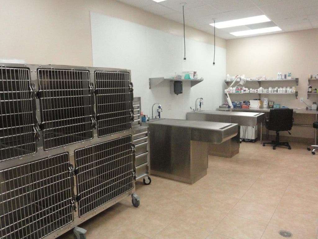 One-Stop-Shop Pet Care Comes to Stamford | Stamford, CT Patch