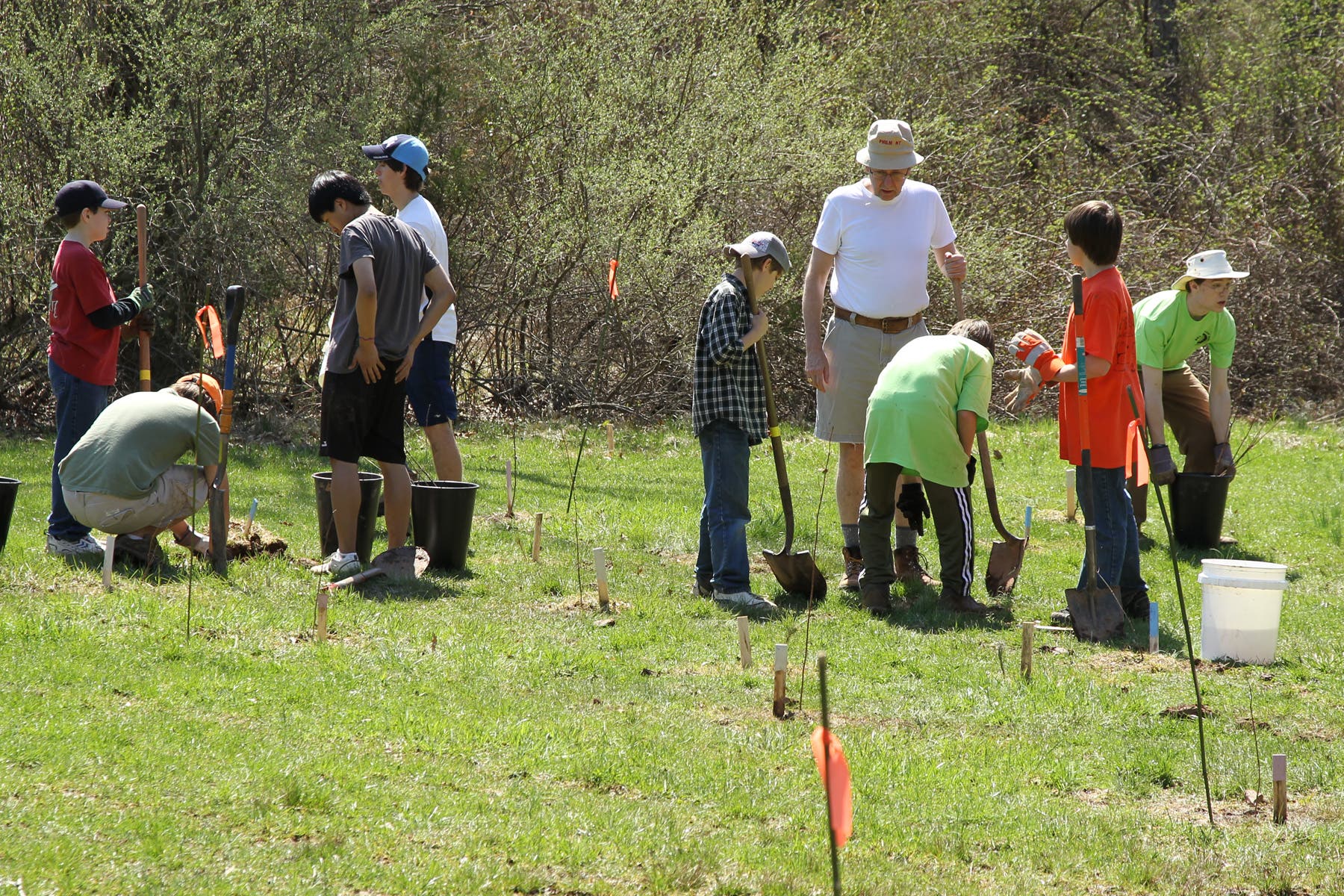 PHOTO GALLERY: Eagle Scout Project Tree Planting | Basking Ridge, NJ Patch