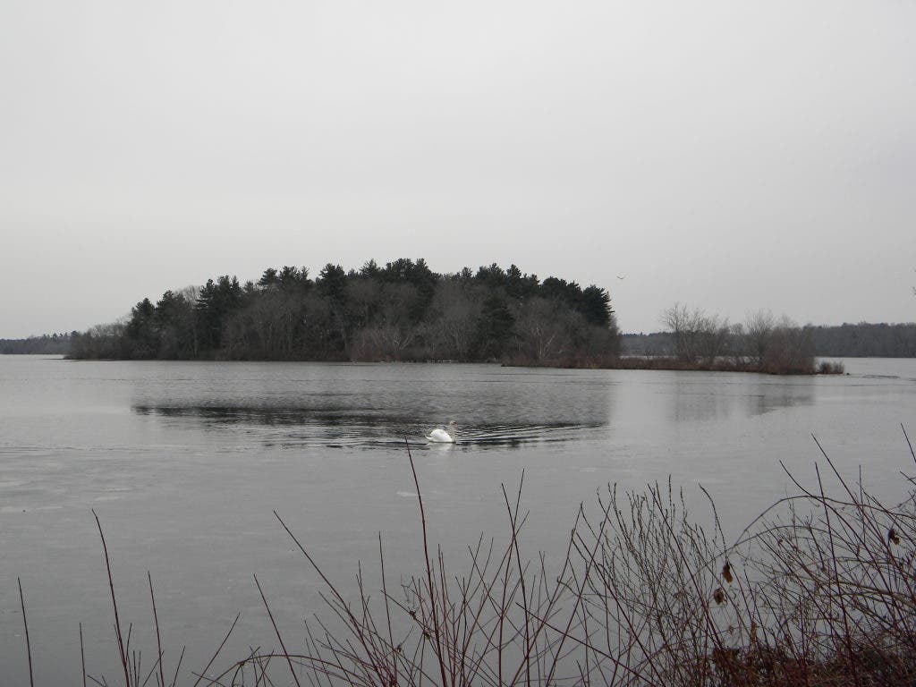 More Destruction Made to Pheeny's Island | Norton, MA Patch