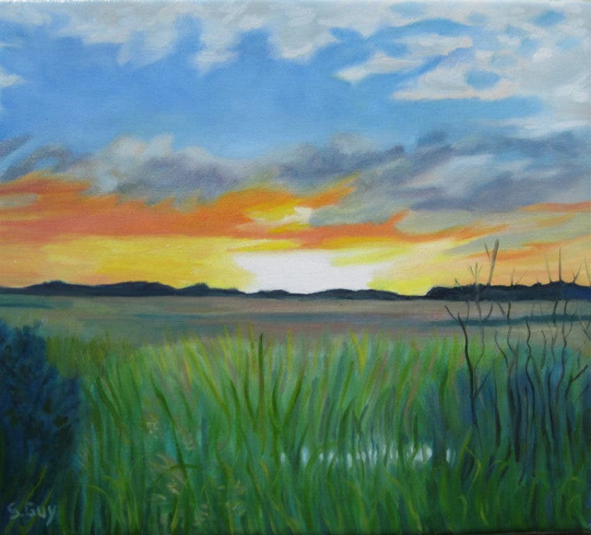 Sharon Guy: Florida Scenes and Wildlife Show | Bradenton, FL Patch