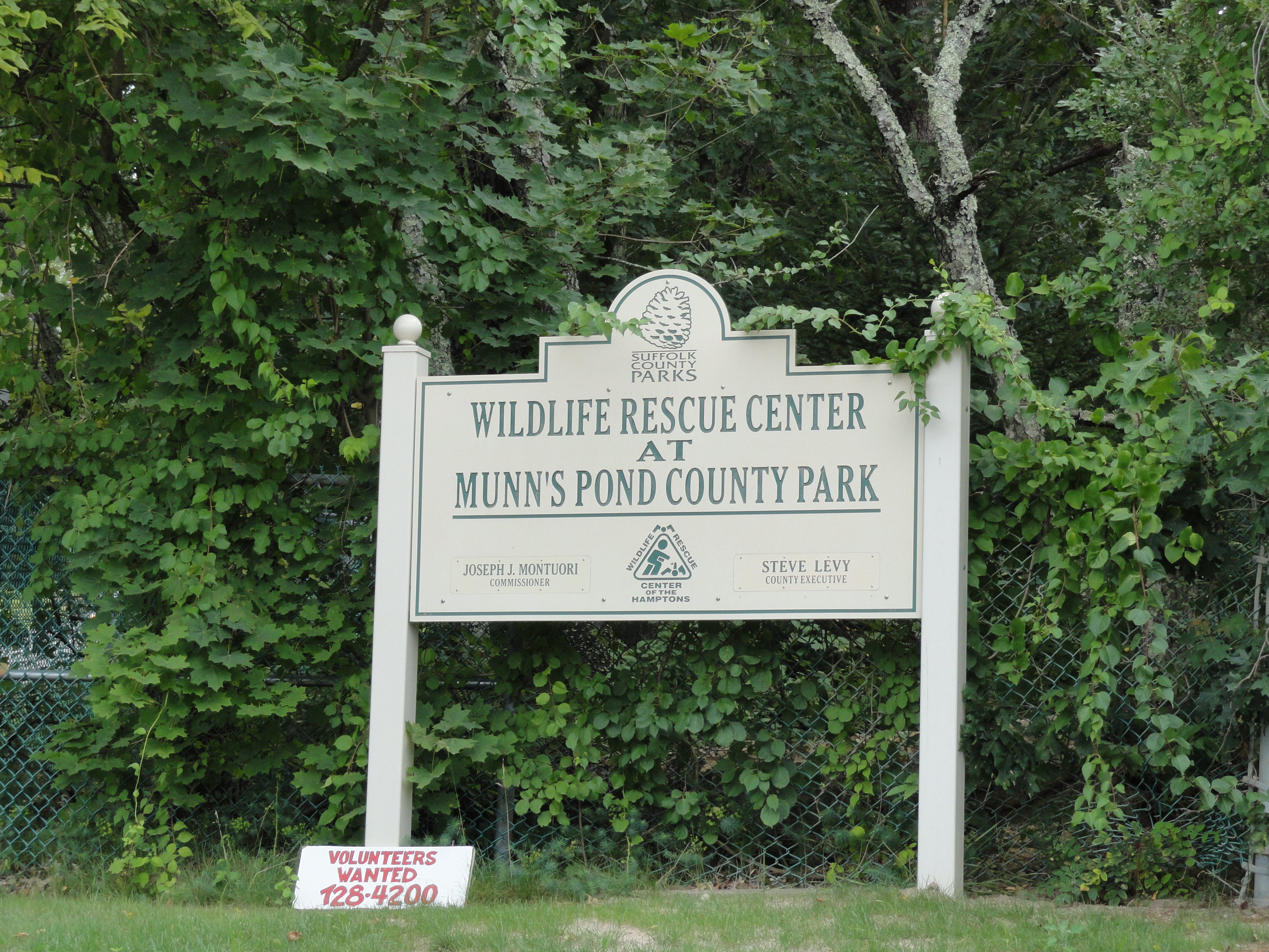 Police Called to Find Missing Woman At Munn's Pond County Park ...