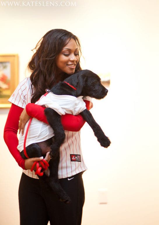 Delco SPCA Celebrates Phillies Opening Day with Discounts | Media, PA Patch