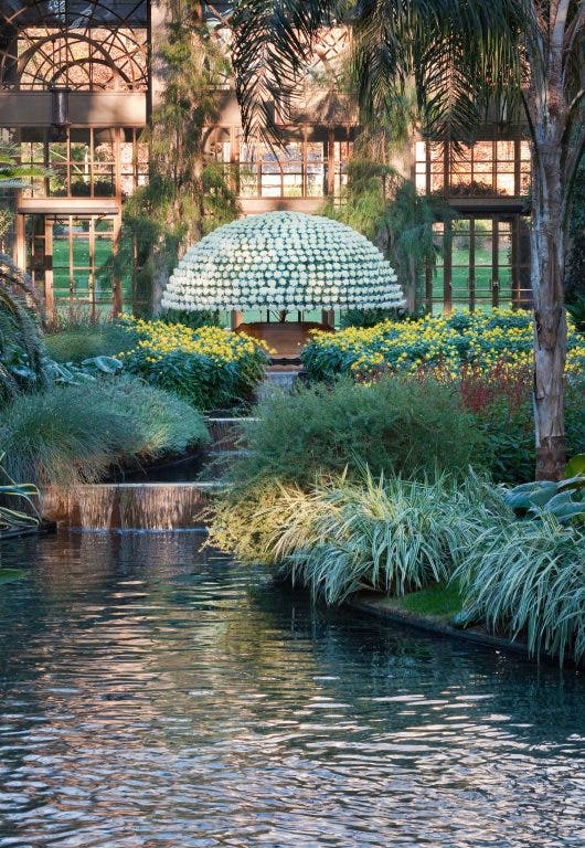 Sickles Tour Longwood Gardens for Chrysanthemum Festival | Little ...
