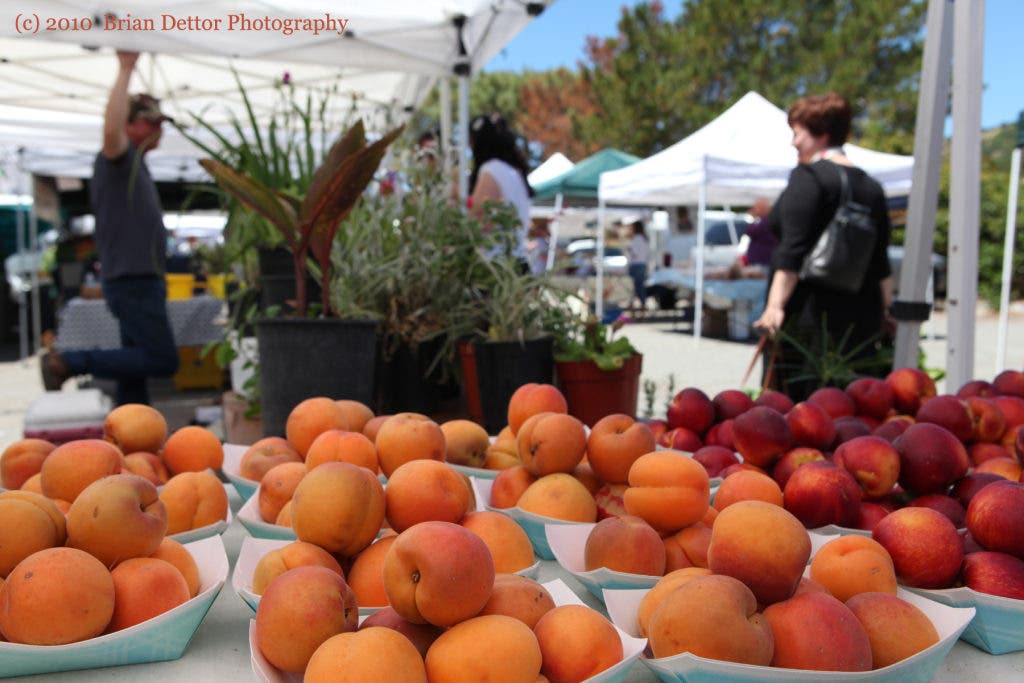 Bill Hansell plays Marinwood Community Farmers Market for the Food Bank ...