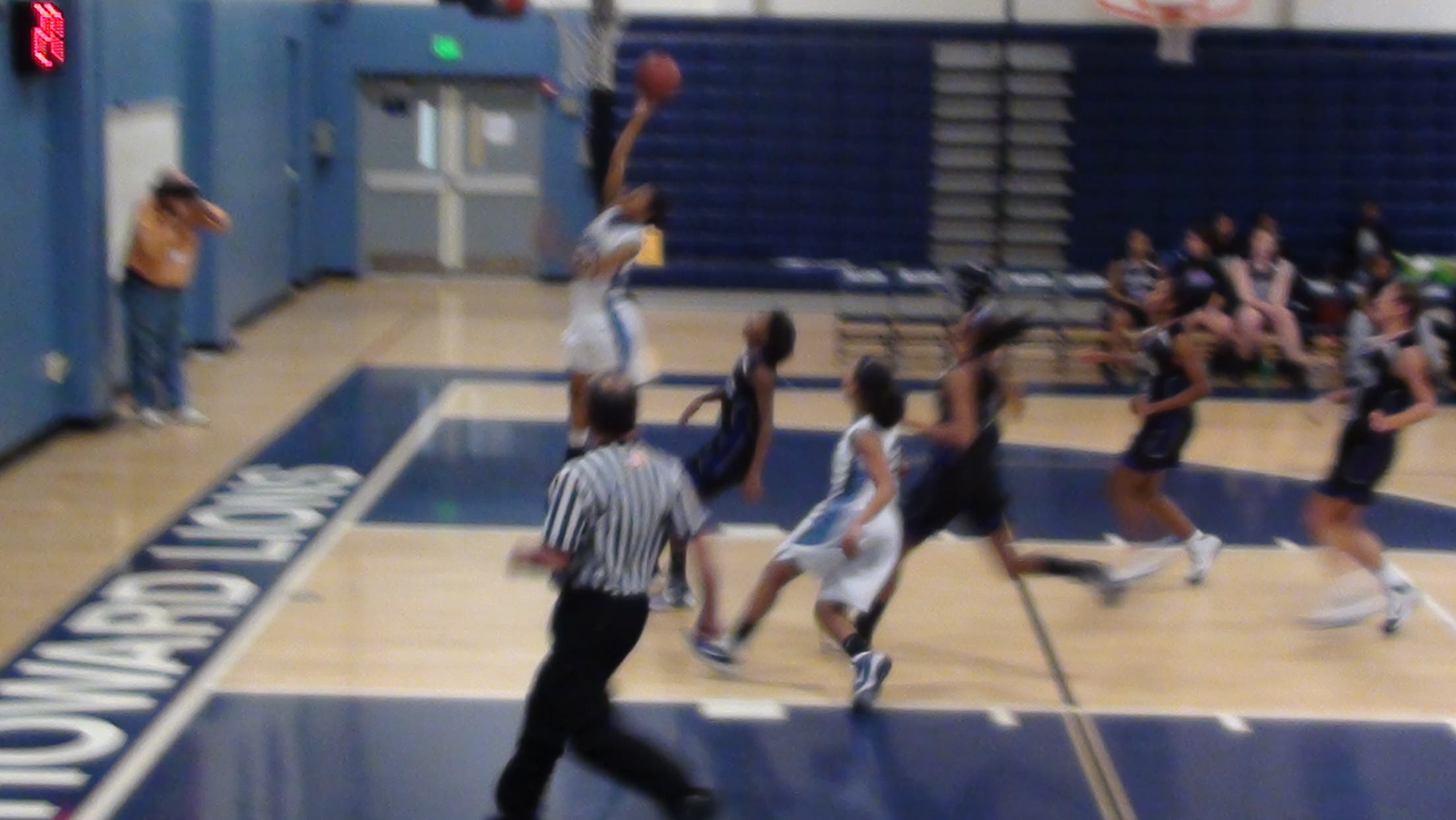Girls Basketball: Howard Lions Trample Long Reach Lightning | Ellicott ...