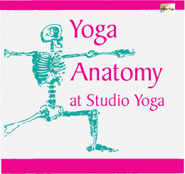 Yoga Anatomy with Janel Weaver | Madison, NJ Patch