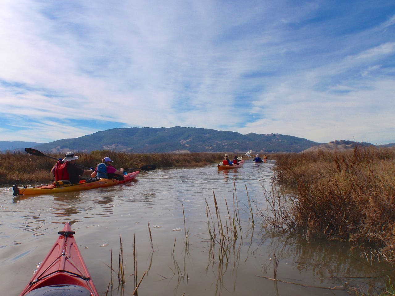 Kayak the Petaluma River Marsh with Clavey Paddlesports on Saturday ...